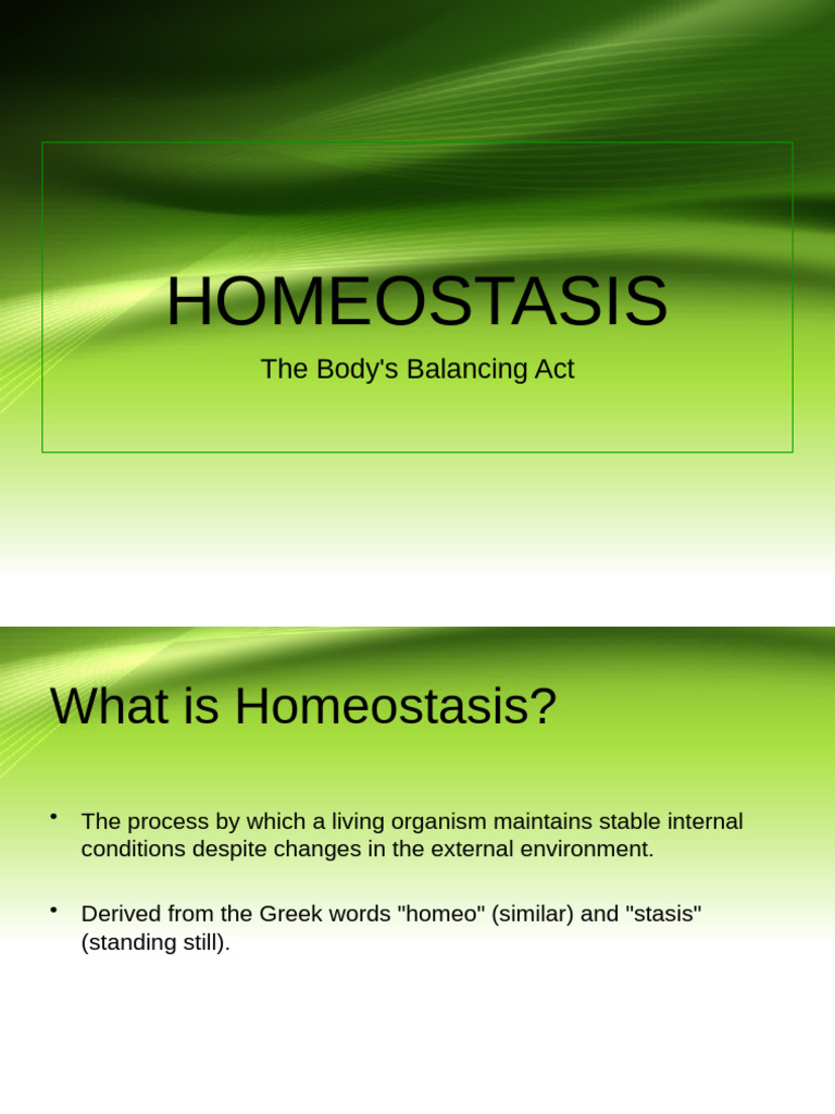 Understanding Homeostasis in the Body | PDF | Homeostasis | Physiology