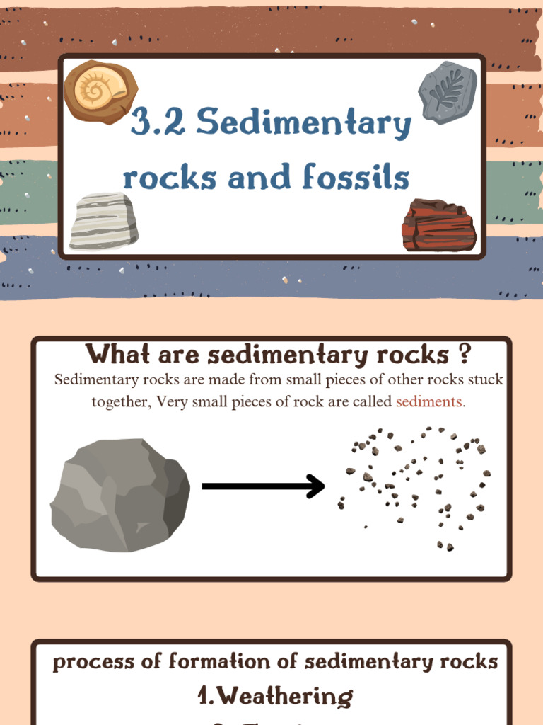 3.2 Sedimentary Rocks | PDF | Sedimentary Rock | Rock (Geology)