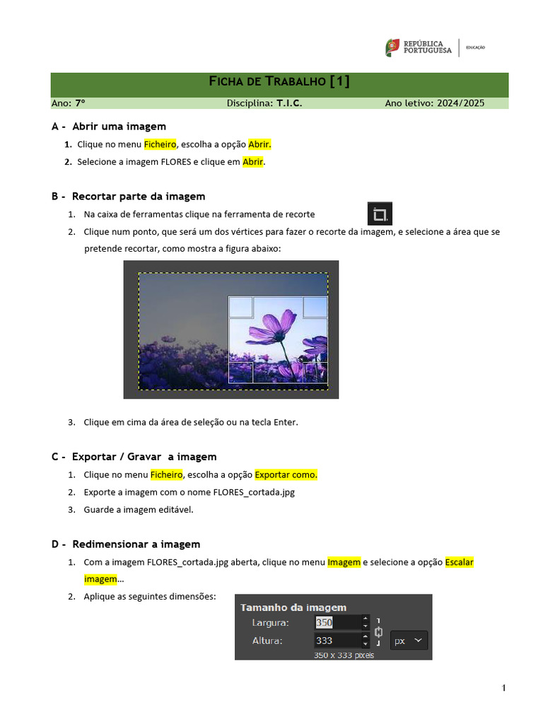 Ficha de Trabalho 1 | PDF