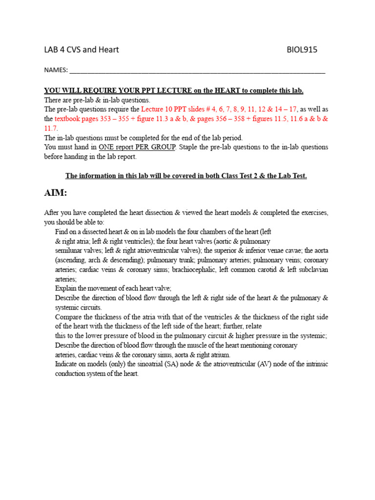 915 Lab 4 CVS Heart | PDF | Heart Valve | Heart