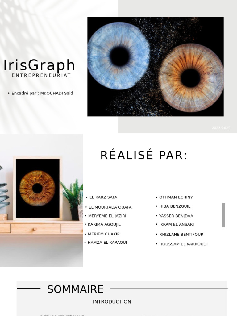 Iris Graph | PDF | Commercialisation | Investir