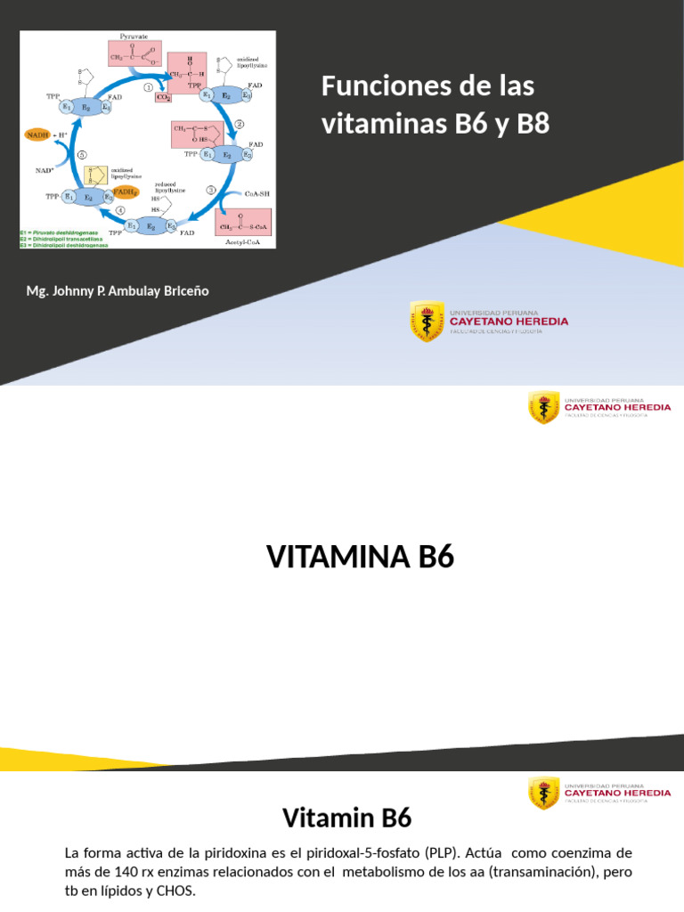 Metabolismo de Las Vitaminas B6 y B8 | PDF | Metabolismo | Bioquímica