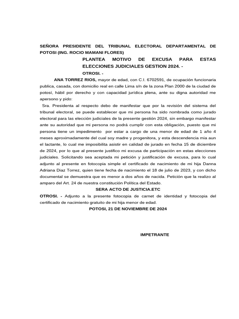 Excusa A Elecciones 2024 | PDF