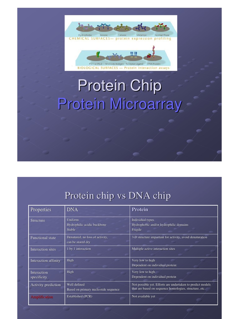 Protein Chip Protein Microarray | PDF | Dna Microarray | Proteomics