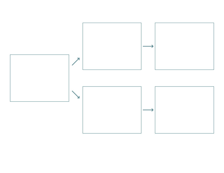 Behavior Mapping Blank Template | PDF
