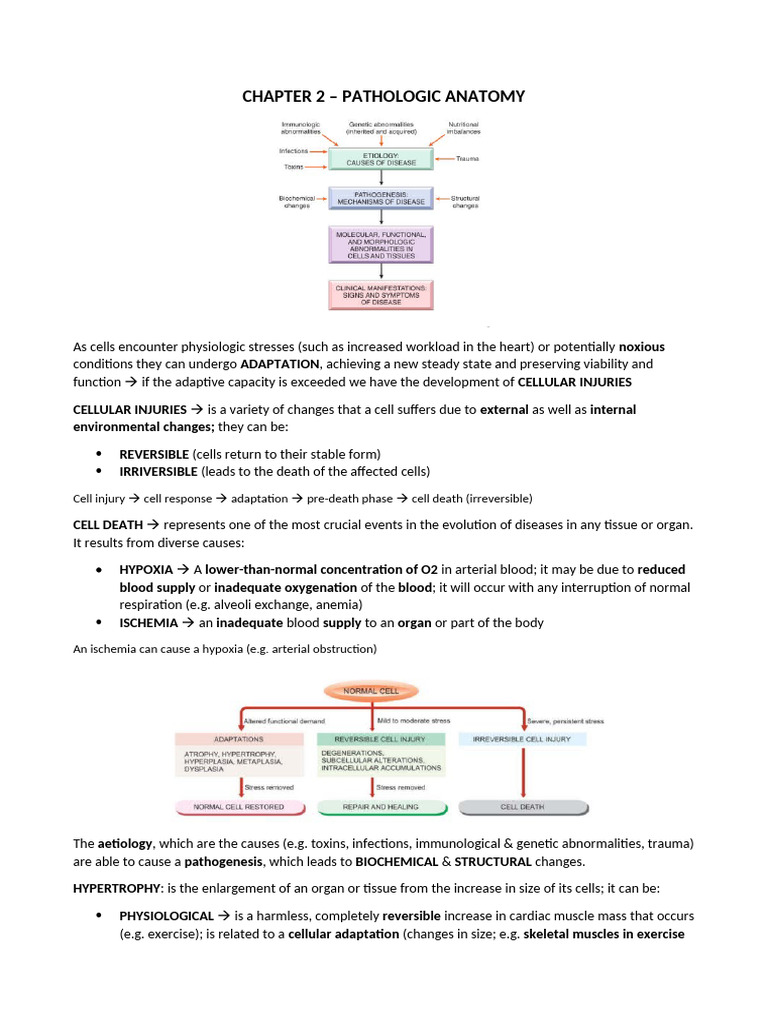 Chapter 2 - Pathologic Anatomy | PDF | Apoptosis | Necrosis
