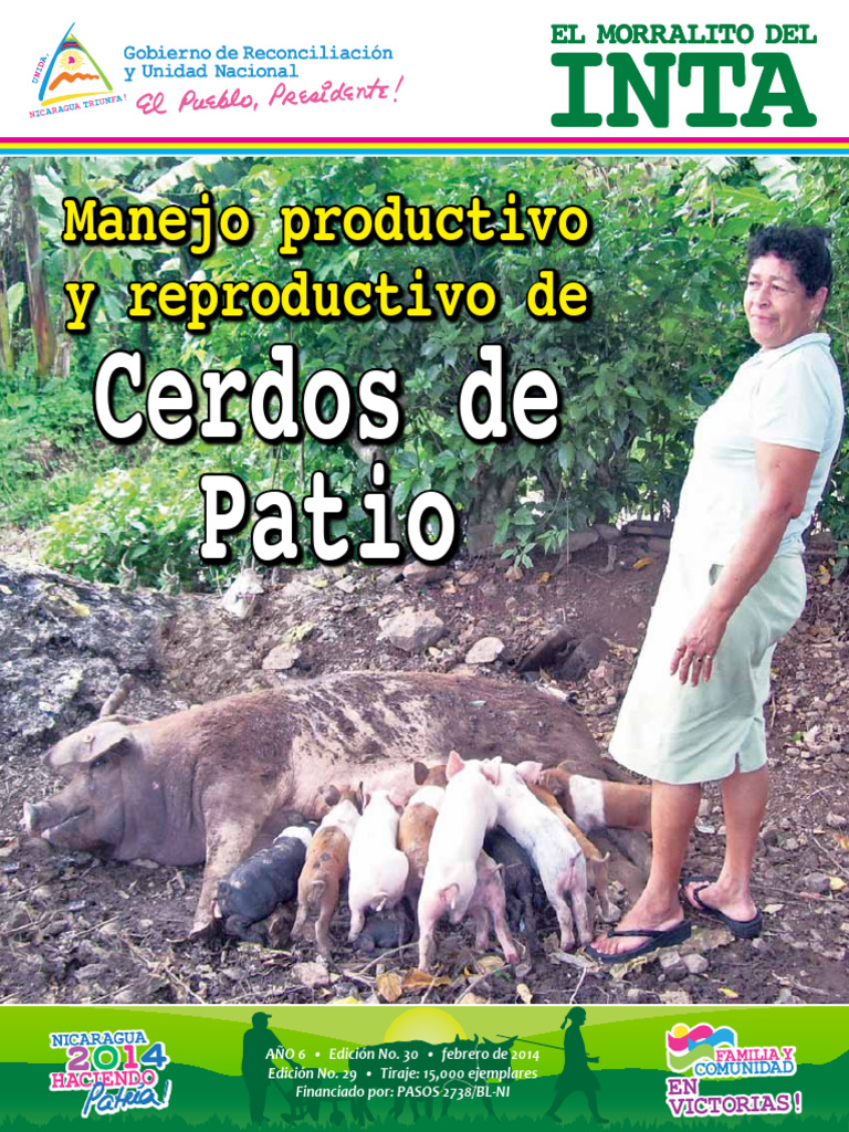 Morralito Manejo de Cerdosuno | PDF | Cerdo | Parto