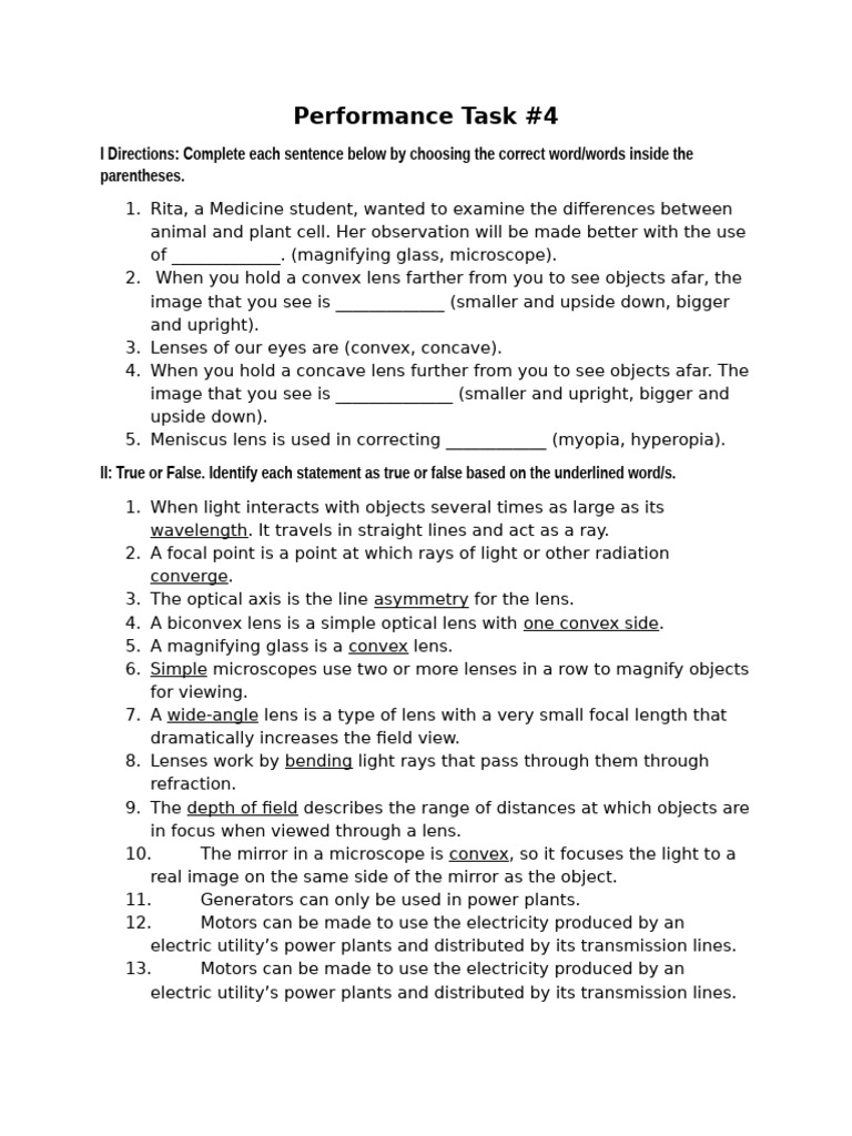 Performance Task 4 LENSES | PDF