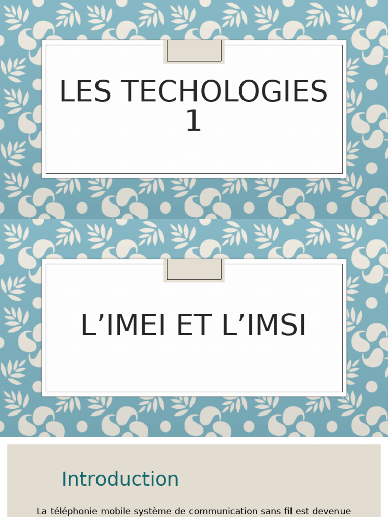 Chapitre 5 - IMSI Et IMEI | PDF | Téléphones portables | Informatique