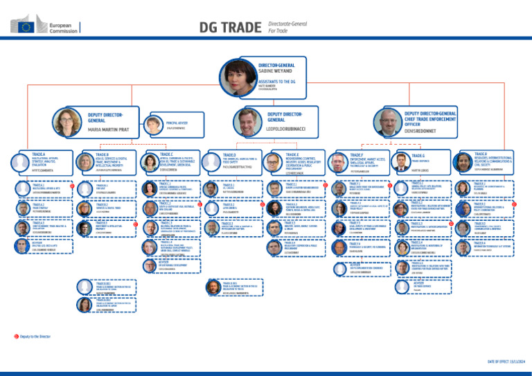 Organigram of DG Trade | PDF