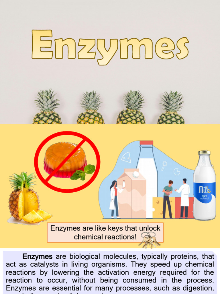 Enzymes | PDF | Enzyme | Redox