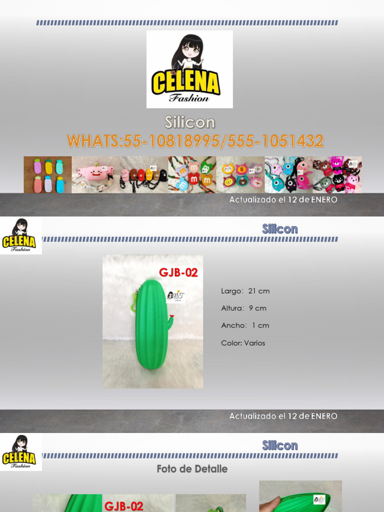 Silicon+12+de+ENE | PDF