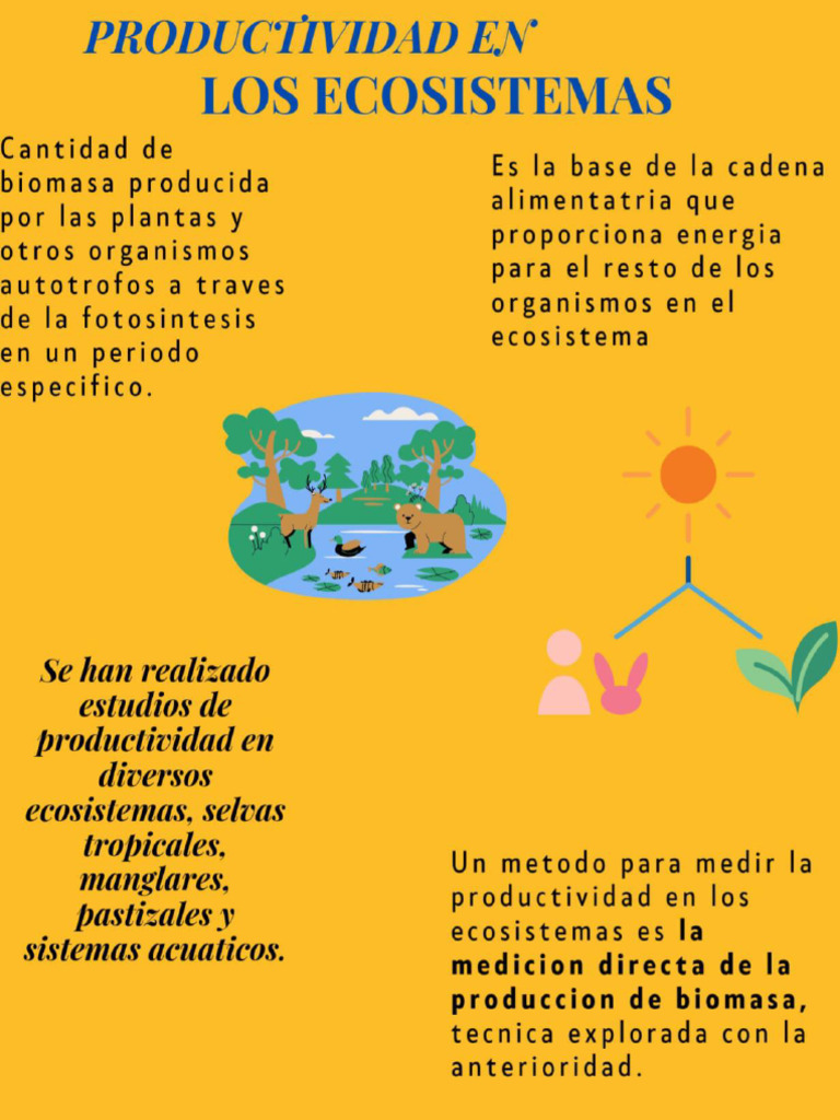 Ecosistemas Infografia | PDF