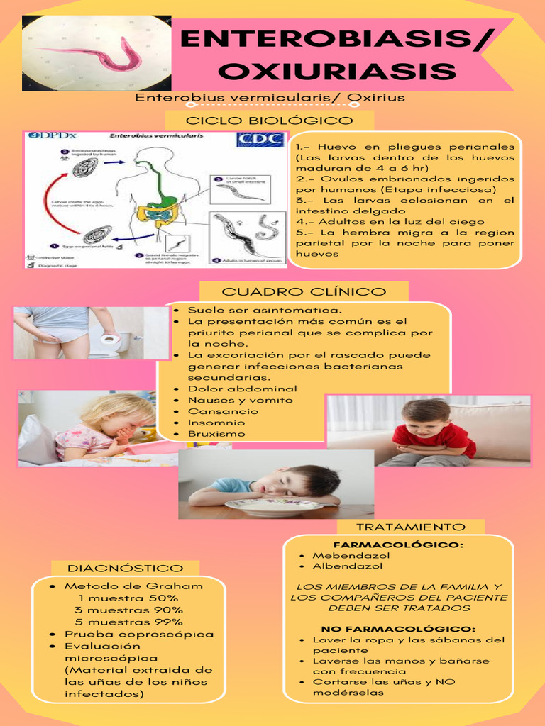 Enterobius Vermicularis | PDF