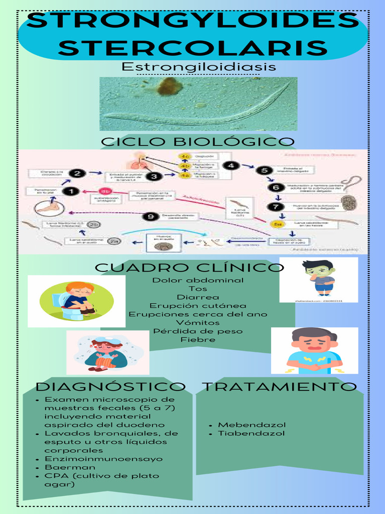 Strongyloides Stercolaris | PDF