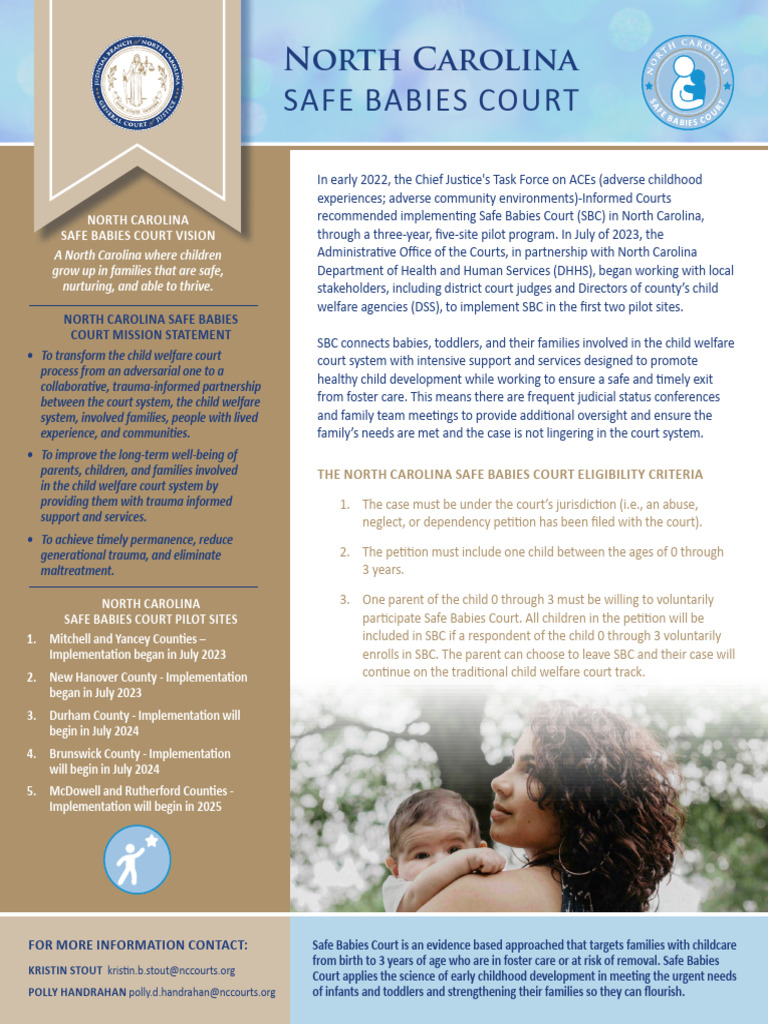 Safe Babies Court Fact Sheet | PDF | Child Protection | Infants