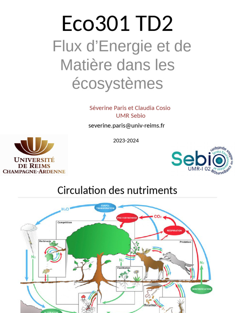 TD2 ECO301 2024(SPP) | PDF | Urine | Phosphore