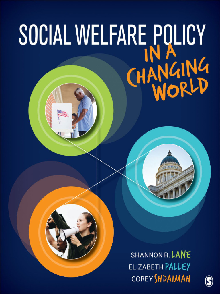 Shannon R. Lane, Elizabeth S. Palley, Corey S. Shdaimah - Social ...