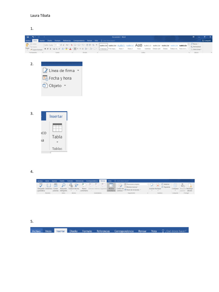 Documento de Laura Tibata | PDF