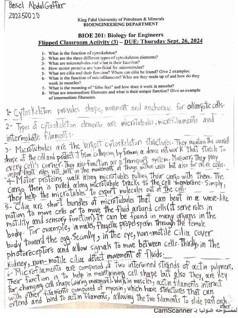 3rd Activity BIOE 201 | PDF