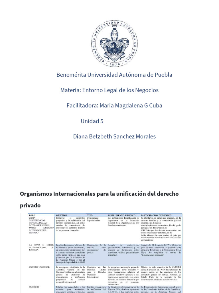 ACTIVIDAD 14 | PDF