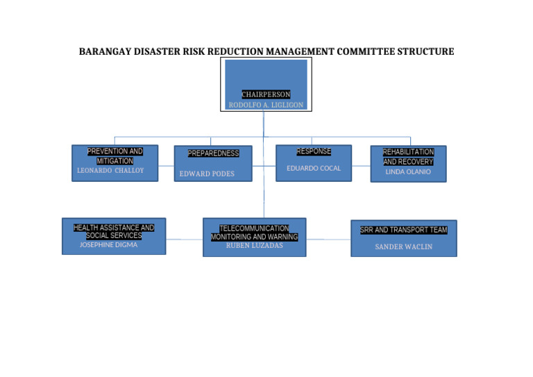 Barangay Disaster Risk Reduction Management Committee Structure | PDF