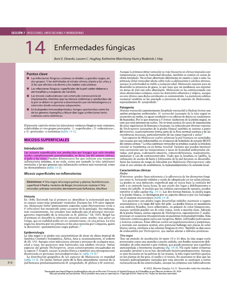 Dermatofitosis Bolognia | PDF