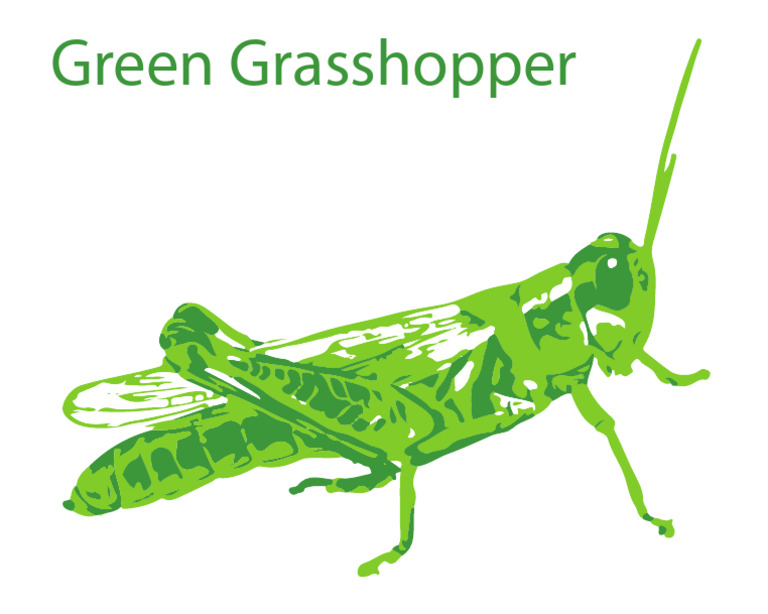 Green Grasshopper | PDF