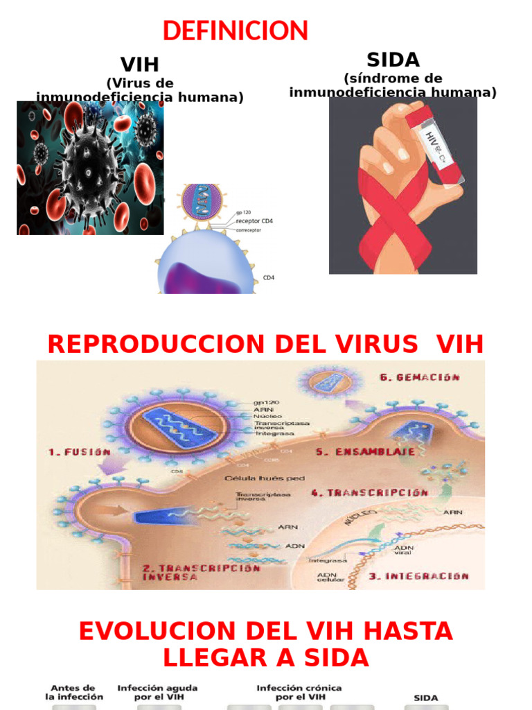 Vih Definicion | PDF