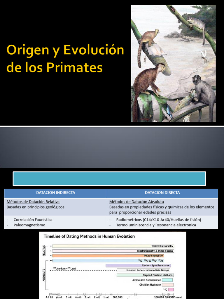 Evolución del Orden Primates | PDF | Mono | Geología