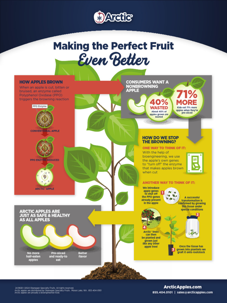 Inbound 6289603867953582612 | PDF | Apple | Botany