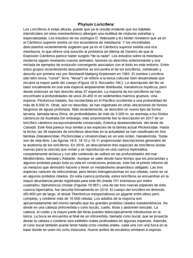 Phylum Loricifera | PDF | Tracto gastrointestinal