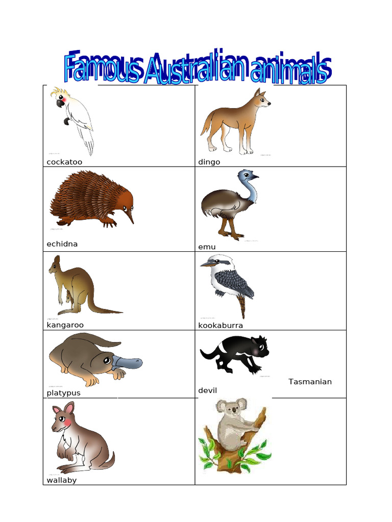 Australian Wildlife Overview | PDF