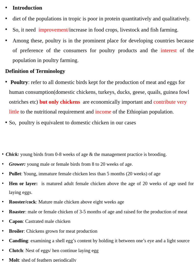 Introduction To Poultry Production | PDF | Chicken | Poultry