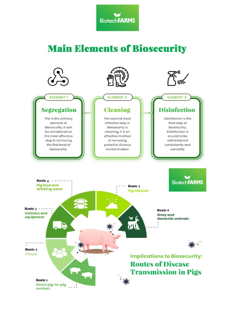 Biosecurity Poultry | PDF