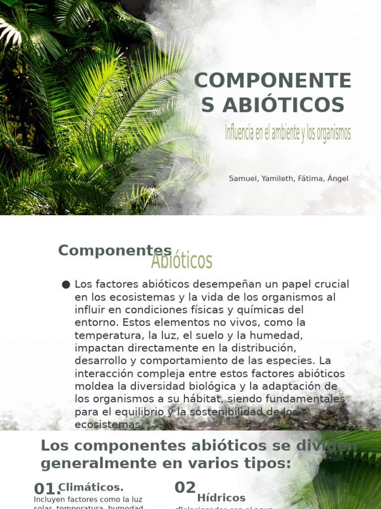 componentes abióticos | PDF | Suelo | Agua