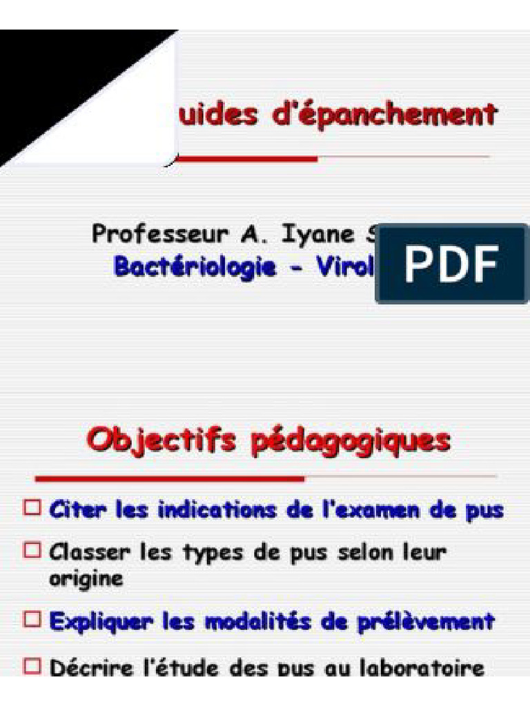 PDFReader 20241203 0026 | PDF