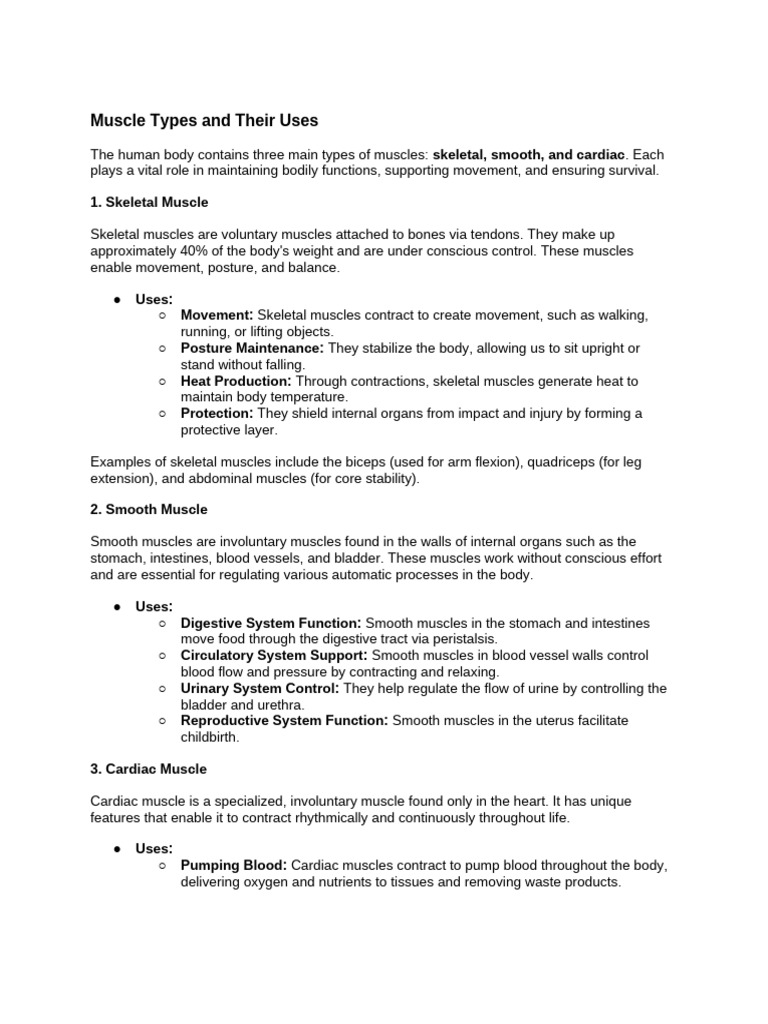 Muscle Types and Their Functions | PDF | Muscle | Human Body