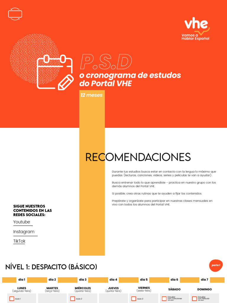 PSD_12meses | PDF | Youtube | Formatos de medios