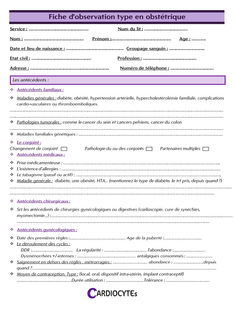 Document Structure Overview | PDF