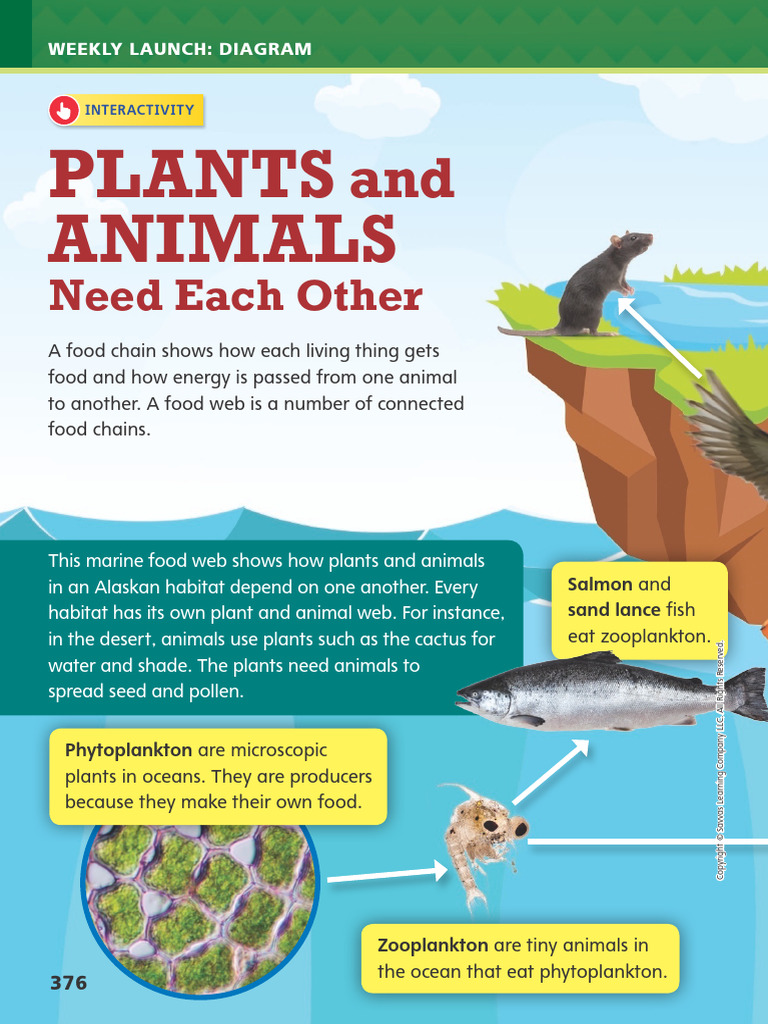 Student Interactive U2 Week 5 | PDF | Part Of Speech