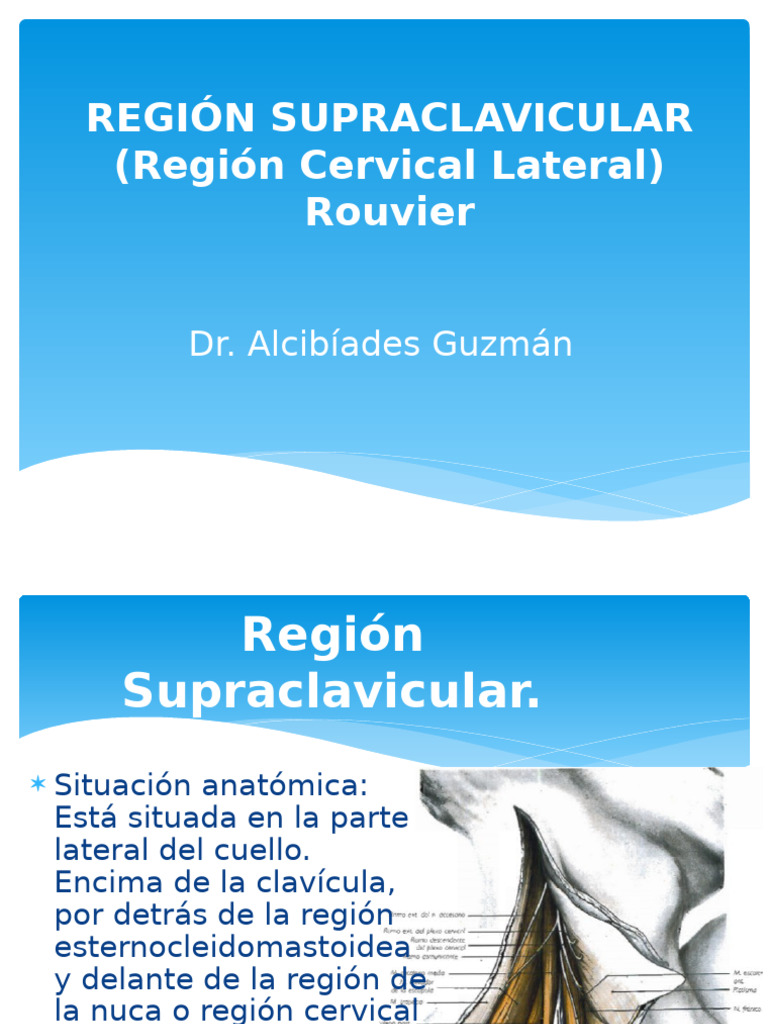 Anatomía de la Región Supraclavicular | PDF | Tejido suave | Sistema ...