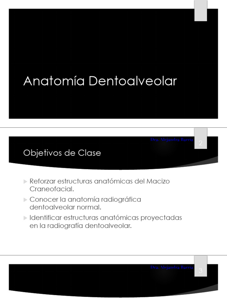 Anatomia_Dentoalveolar | PDF | Cabeza y cuello humanos | Anatomía humana