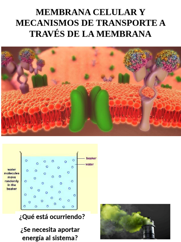 Clase Teórica N°2 - Célula, Membrana y Transporte 2C-2024-ENTERA-Ale ...