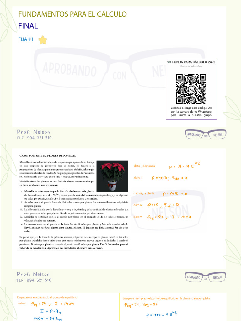 FINAL - FIJA1 - Funda 24-2 | PDF