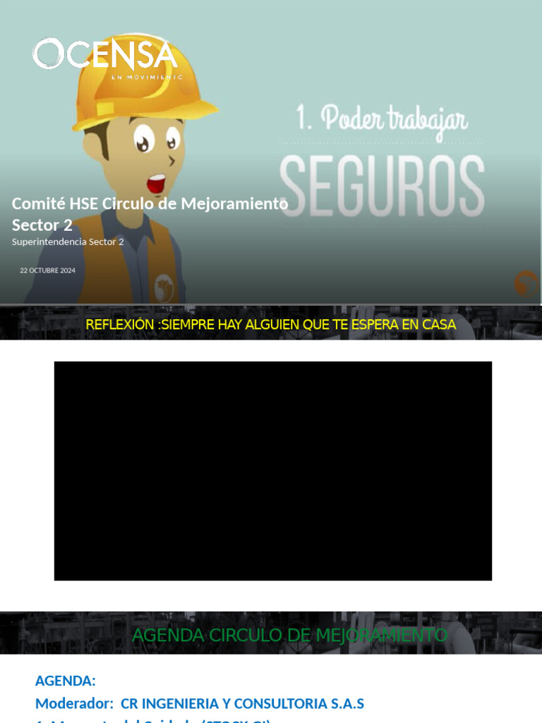 Comité HSE: Mejora y Seguridad 2024 | PDF