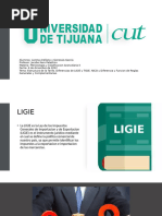 Estructura y Reglas de la LIGIE | PDF | aduana