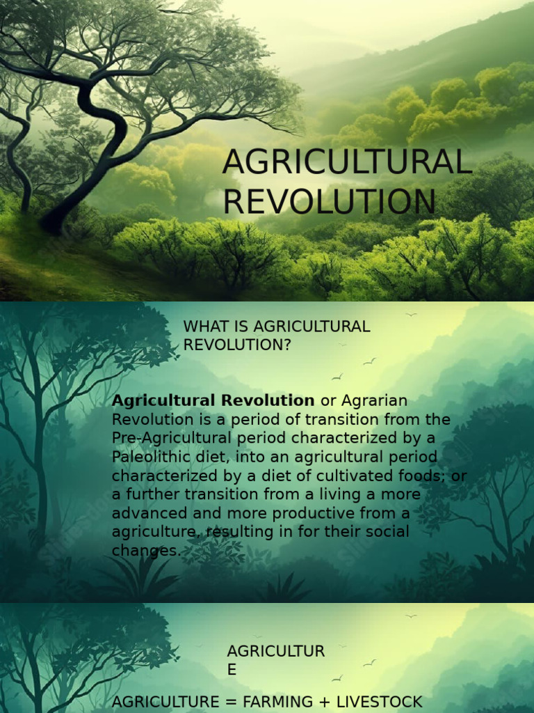 Gemst 1 by Row Report | PDF | Agriculture | Soil
