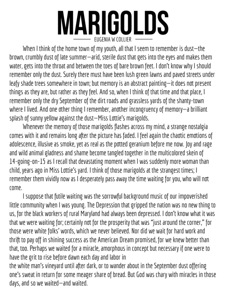 Marigolds Full Text | PDF