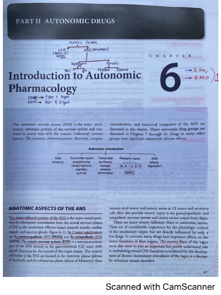 ANS Pharma - Shehroz | PDF